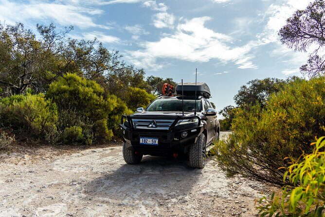 Port Lincoln Full-day Exploration Tour - The Sum Up: Is It Worth It?