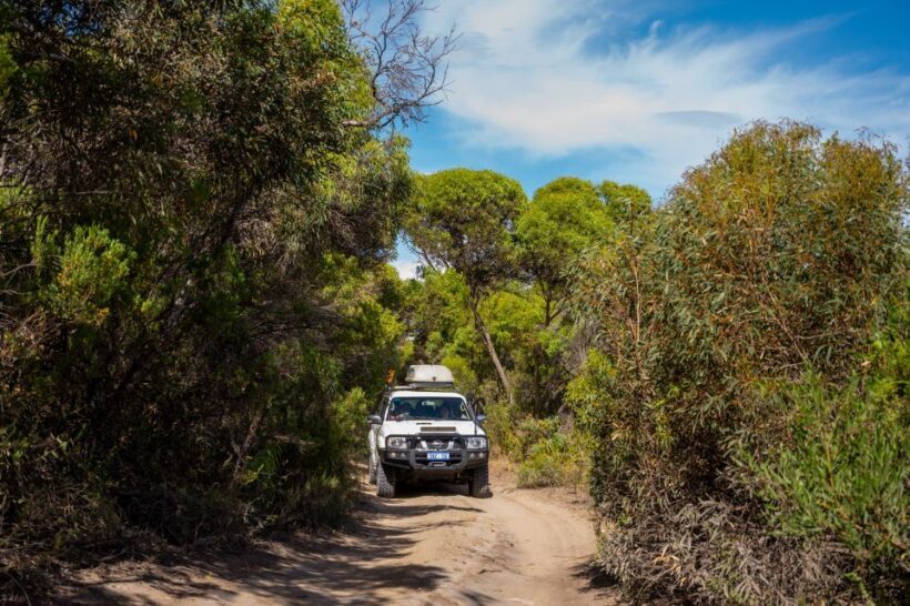 Port Lincoln: Wildlife and Sightseeing Full-Day 4WD Tour - Exploring Lincoln National Park and Beyond