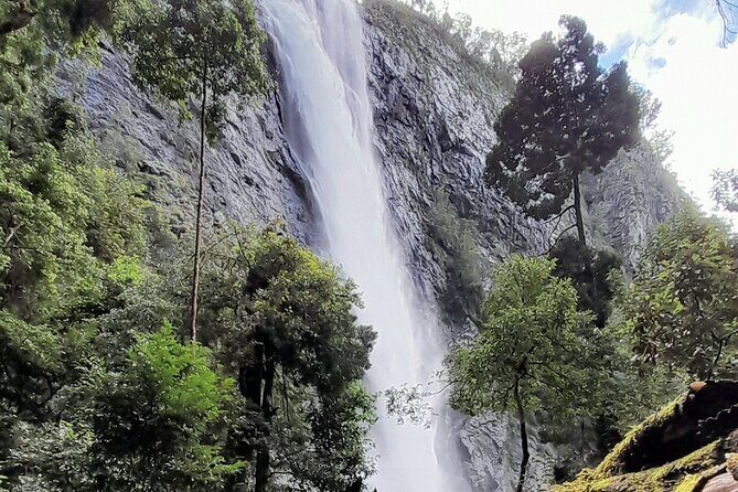 Port Macquarie day tour to Ellenborough Falls & Comboyne Rock - Key Points