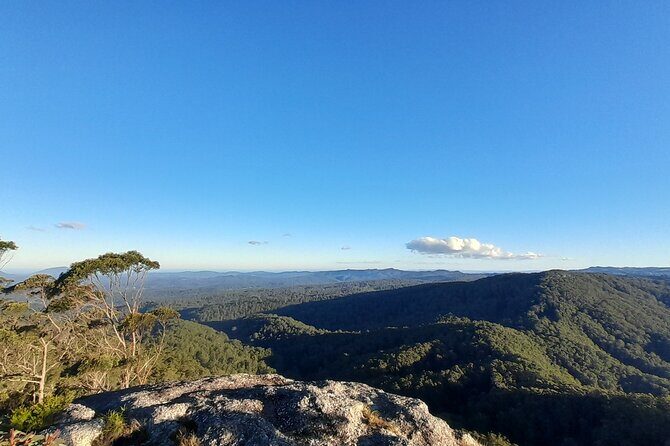 Port Macquarie day tour to Ellenborough Falls & Comboyne Rock - Practical Details and Tips