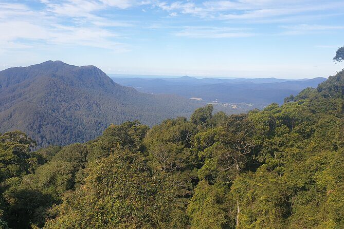 Port Macquarie Day Tour to Water Falls and Lookouts - Practical Details for Travelers