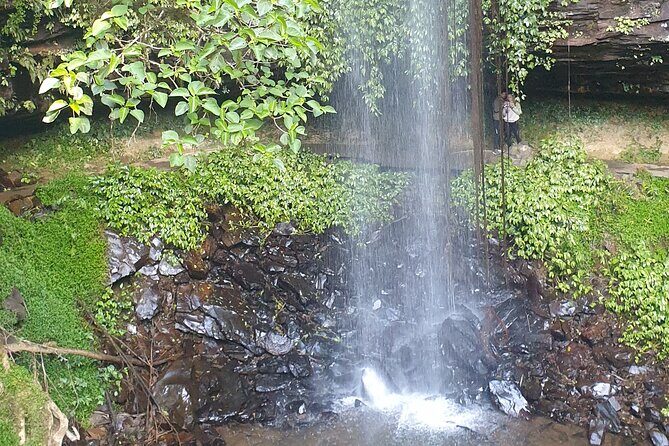 Port Macquarie Day Tour to Water Falls and Lookouts - Final Thoughts