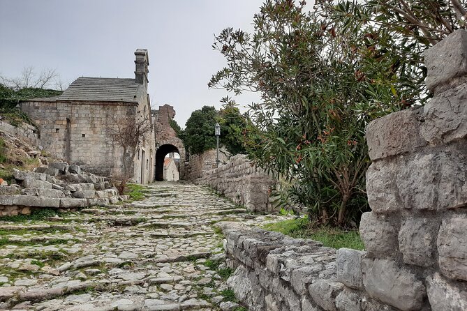 Port of Bar - Old town Bar and oldest European Olive tree visit - What’s Included and What to Keep in Mind