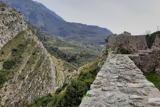 Port of Bar - Old town Bar and oldest European Olive tree visit - Final Thoughts: Who Will Love This Tour?