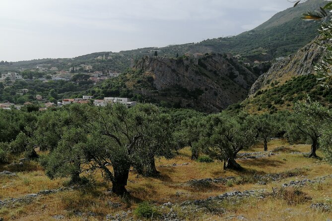 Port of Bar tour - Explore Adriatic area - Bar and Ulcinj tour - Key Points