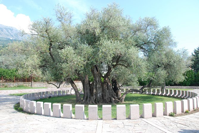 Port of Bar tour - Explore Adriatic area - Bar and Ulcinj tour - Who Should Consider This Tour?