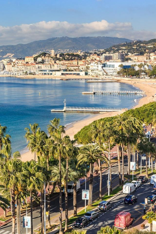 Port of Cannes : Personalized private tour - Evaluating the Value