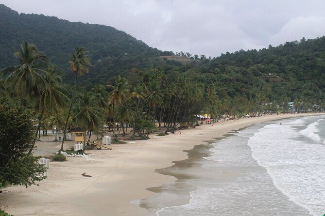Port of Spain City Highlights and Maracas Beach - FAQs