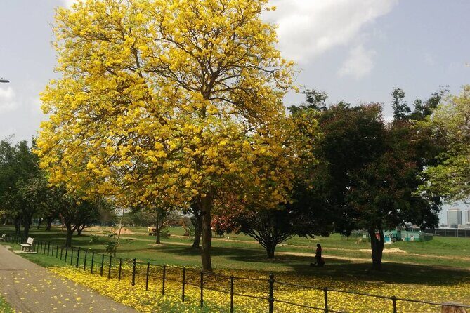 Port of Spain City Highlights Tour - Who Is This Tour Best For?