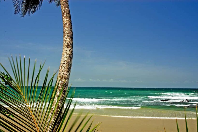 Port of Spain: Coastal Tour of Trinidad - Key Points