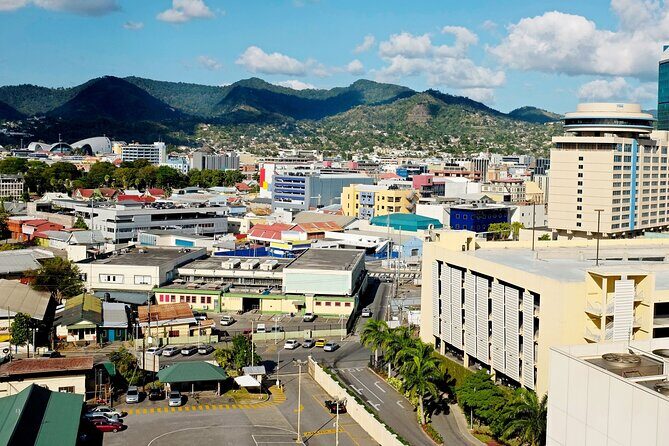 Port Of Spain Private Walking Tour With A Guide (Private tour) - Introducing the Port of Spain Private Walking Tour with a Guide