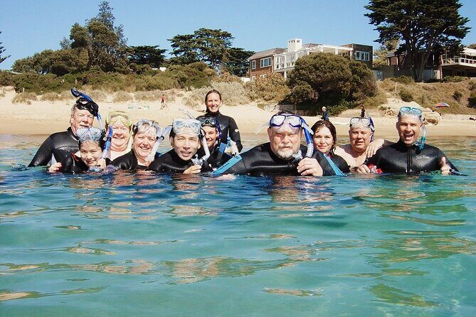 Port Phillip Bay Snorkeling with Sea Dragons - Comparing with Other Experiences
