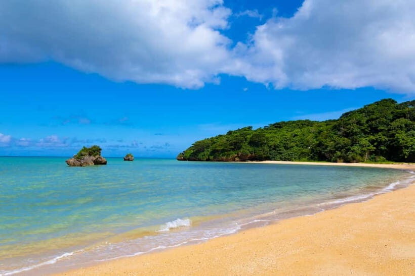 Port Pick-Up: Naha Private Tour Licensed Guide Vehicle - What to Expect from the Tour