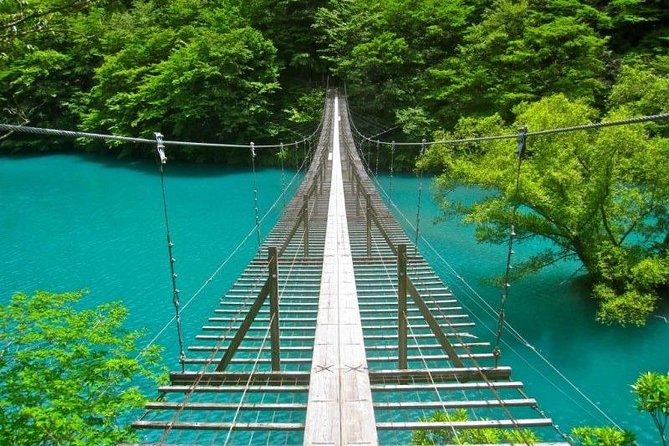 Port Pick-Up: Shizuoka Tour With Licensed Guide and Vehicle - Group Policy and Limitations