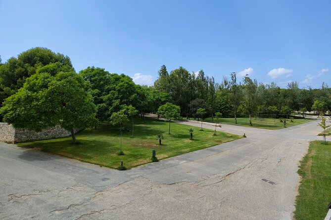 Port Saplaya Bike Private Tour - Booking and Cancellation Policies