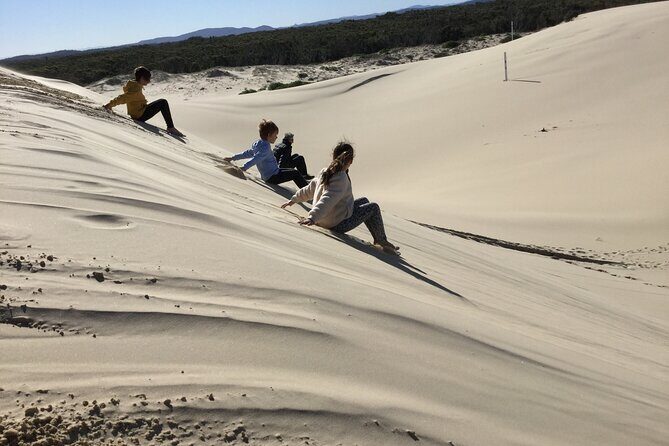 Port Stephens, Beach and Sand Dune 4WD Tag-Along Tour - What’s Included and What to Expect