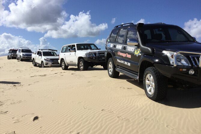 Port Stephens, Beach and Sand Dune 4WD Tag-Along Tour - The Group Size and Atmosphere