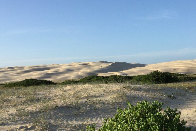 Port Stephens, Beach and Sand Dune 4WD Tag-Along Tour - Who Should Consider This Tour?