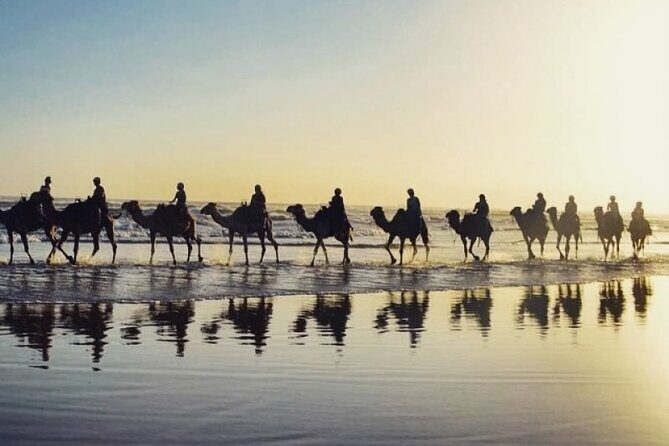 Port Stephens Day Trip from Sydney - Summary: Who Would Love This Tour?