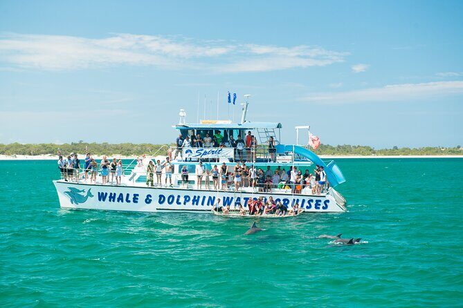 Port Stephens, Departing from Newcastle - Dolphins, hike & swim! - Introduction