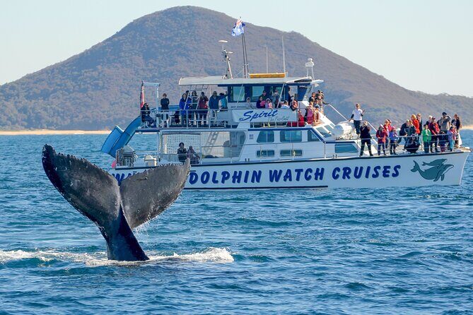 Port Stephens, departing Newcastle - Whales, hike & sand dunes! - Key Points