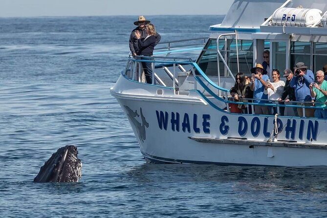 Port Stephens, departing Newcastle - Whales, hike & sand dunes! - Practical Details and Tips