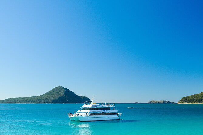 Port Stephens: Dolphin Discovery Cruise - Practical Tips and Recommendations