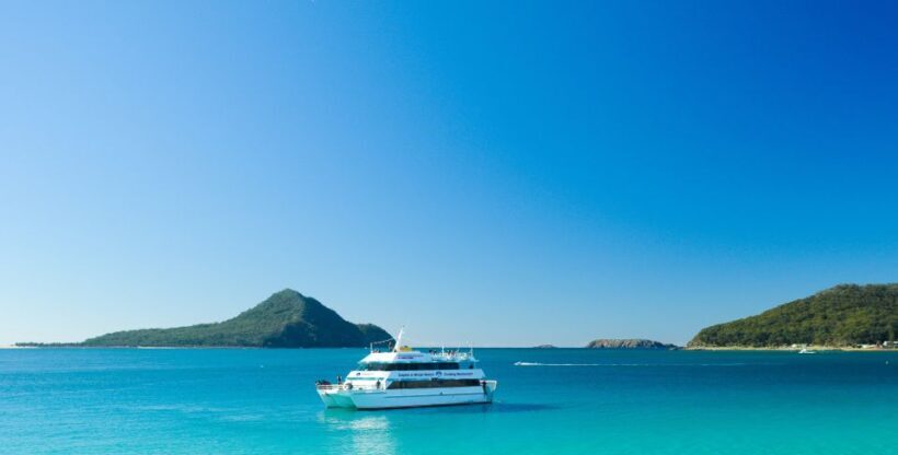Port Stephens: Dolphin Watching Cruise - Key Points