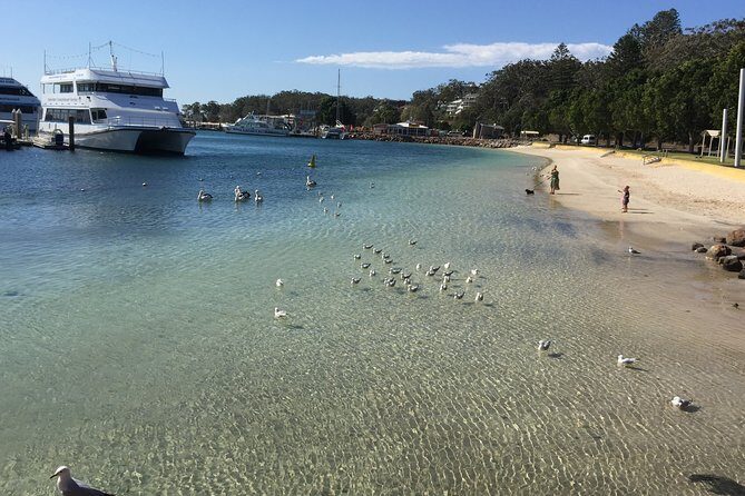 Port Stephens Private Tour From Sydney, with Dolphin/ Whale Cruise Options - Final Thoughts