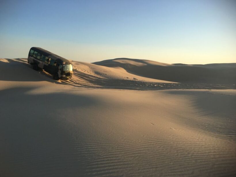 Port Stephens: Unlimited Sandboarding with 4WD Dune Transfer - An Authentic Sand Dunes Adventure