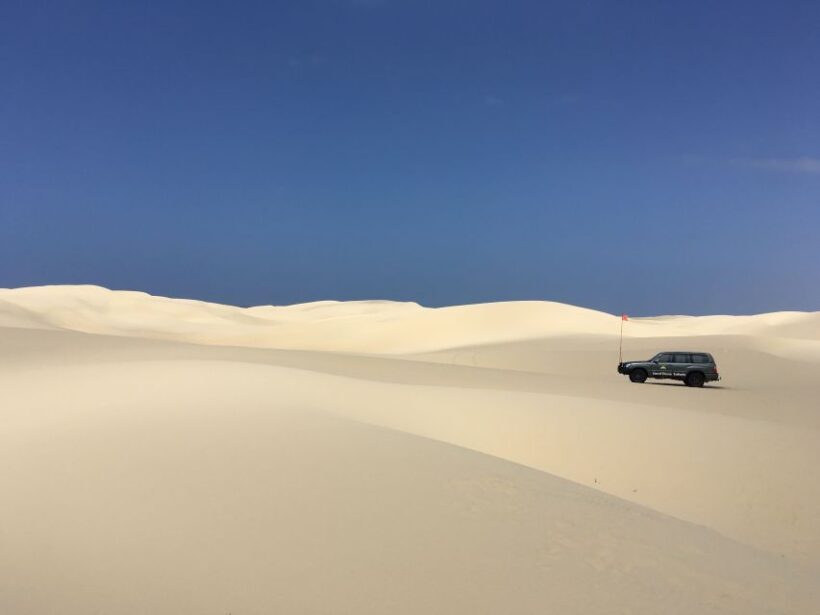 Port Stephens: Unlimited Sandboarding with 4WD Dune Transfer - Relaxation and Refreshments