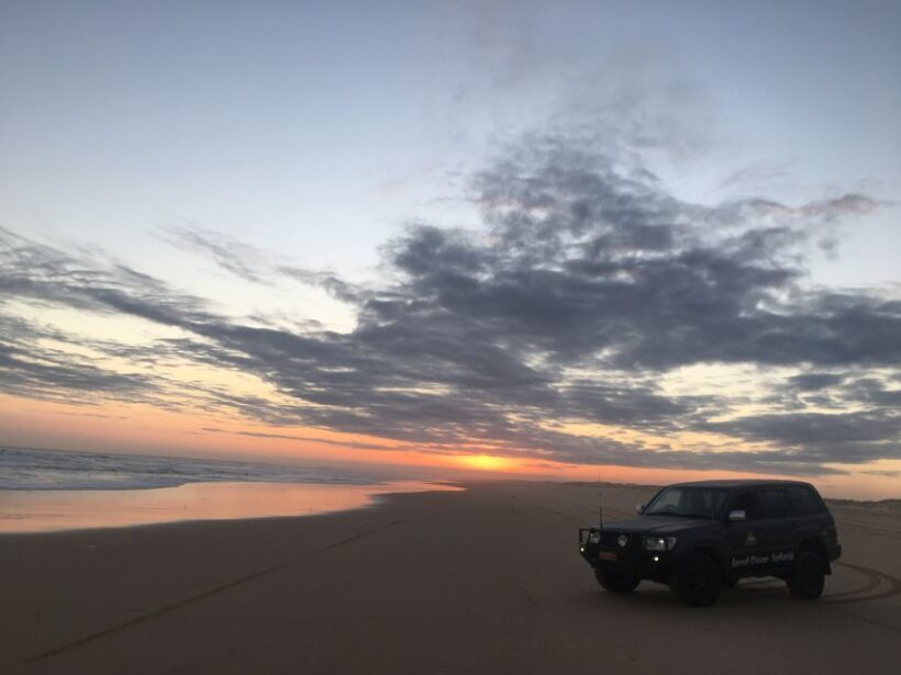 Port Stephens: Unlimited Sandboarding with 4WD Dune Transfer - Authentic Insights from Visitors