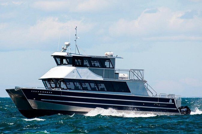 Port Townsend Wildlife Watching Cruise - Who Will Love This Tour?