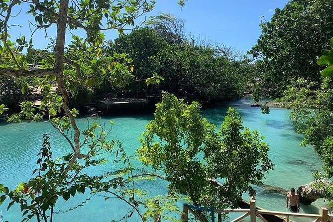 Port Vila Full Day Tour - Experience the Real Vanuatu - The Sum Up