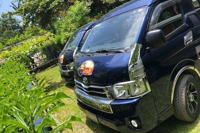 Port Vila International Airport to Hotel with Yumi Tours - The Experience in Detail