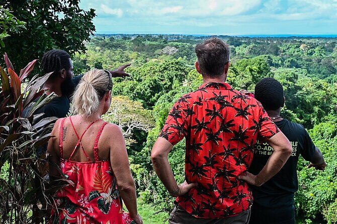 Port Vila Vanuatu Sightseeing Day Tour - Final Thoughts: Is It Worth It?