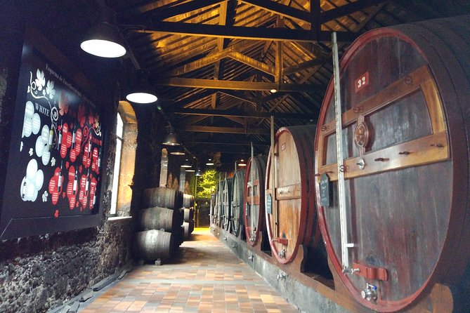 Port Wine Lodges Tour Including 7 Port Wine Tastings (English) - Practical Considerations
