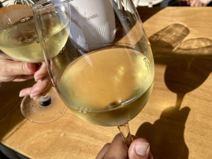 Port wine & wine walking tour with culture - max 8 pax - Who Will Love This Tour?