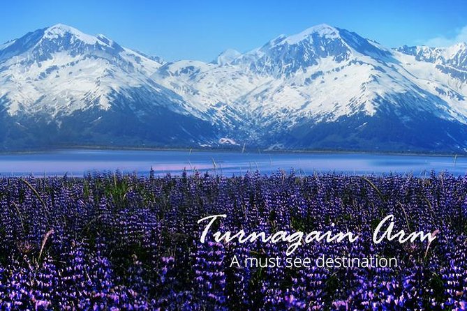 Portage Glacier Cruise and Wildlife Explorer Tour - Authentic Traveler Experiences