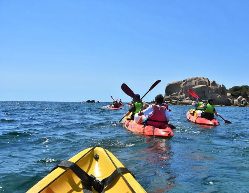 Porticcio: Guiding Kayaking Tour - What’s Included and What Not