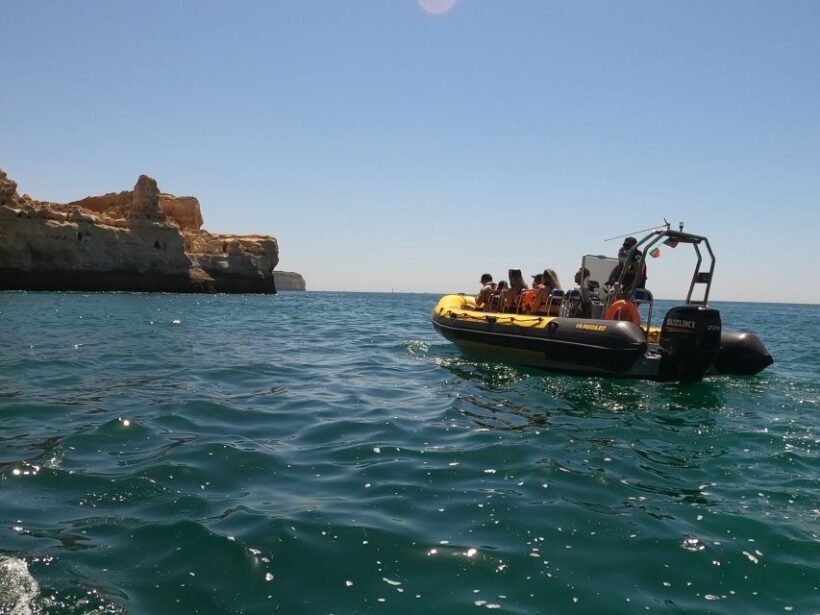 Portimão: 2-Hour Dolphin Watching Boat Tour - Final Thoughts: Who is This Tour Best For?