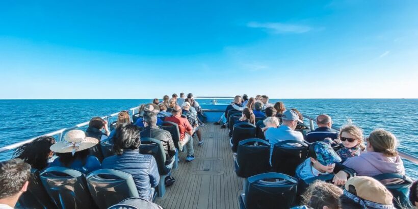 Portimão: Benagil Caves & Dolphins Watching with Biologist - What’s Included and What to Consider