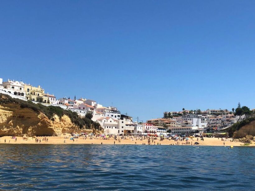 Portimão: Dophin Watching on the Algarve Coast - The Experience in Detail