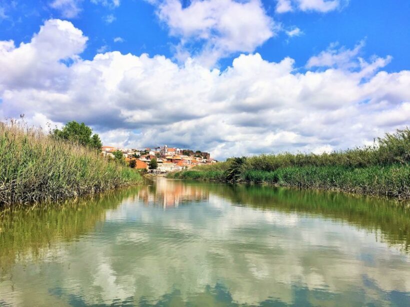 Portimão: Silves & Arade River History Tour on a Solar Boat - Who Should Consider This Tour?