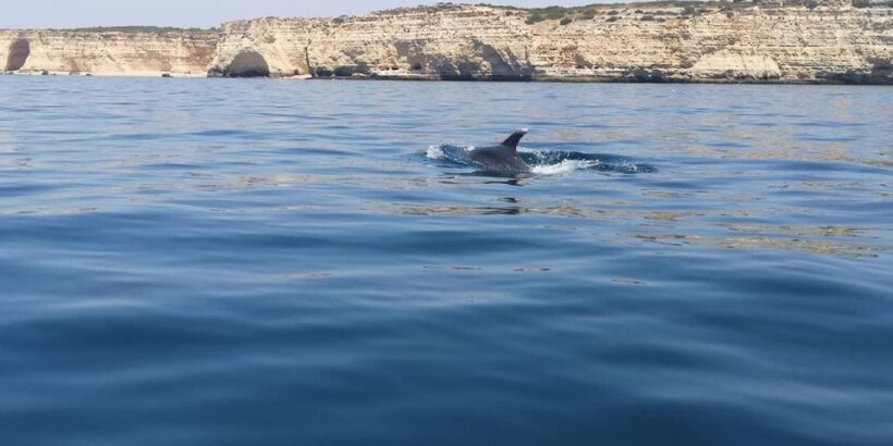 Portimão: Sunrise Private Tour - An Introduction to the Experience
