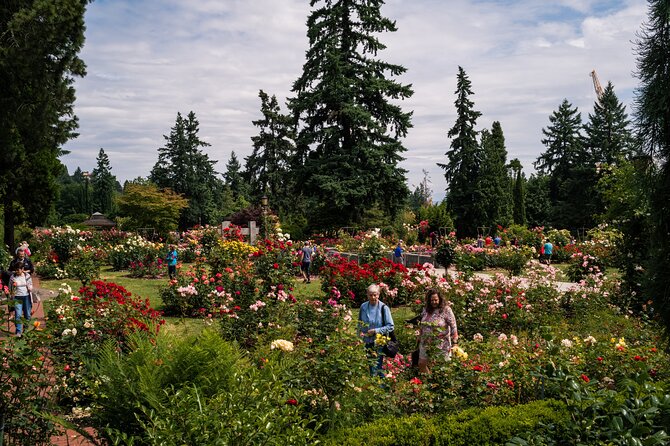 Portland Afternoon City Tour - The Rose Garden Experience