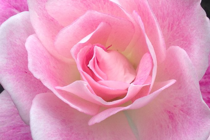 Portland Afternoon City Tour - Transportation and Pickup Details