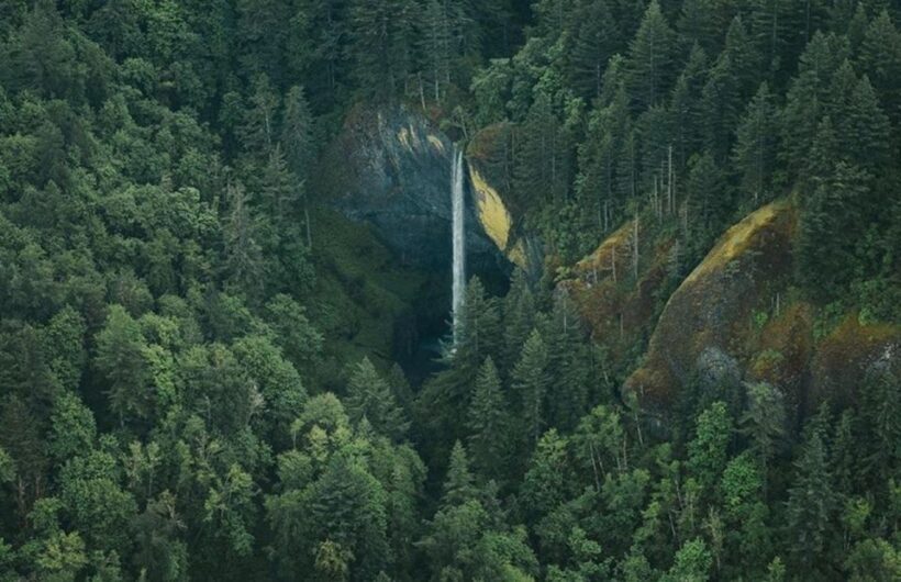 Portland: Columbia Gorge Waterfalls Scenic Air Tour - An In-Depth Look at the Columbia Gorge Scenic Air Tour