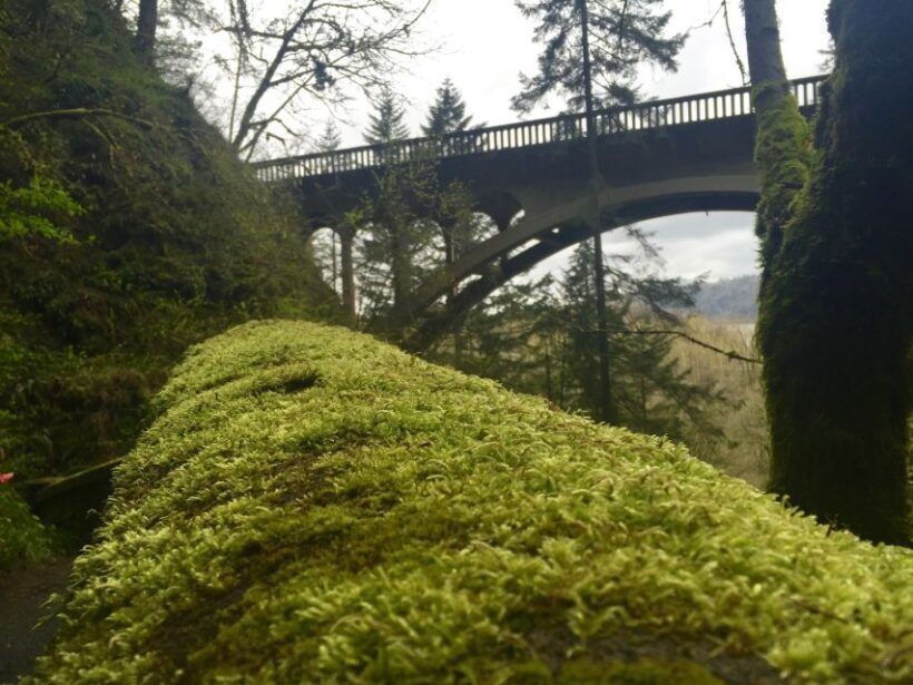 Portland: Columbia River Gorge 3-Hour Small Group Tour - The Sum Up: Is It Worth It?