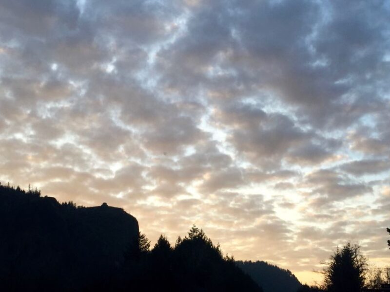 Portland: Columbia River Gorge 3-Hour Small Group Tour - The Guides and Their Impact